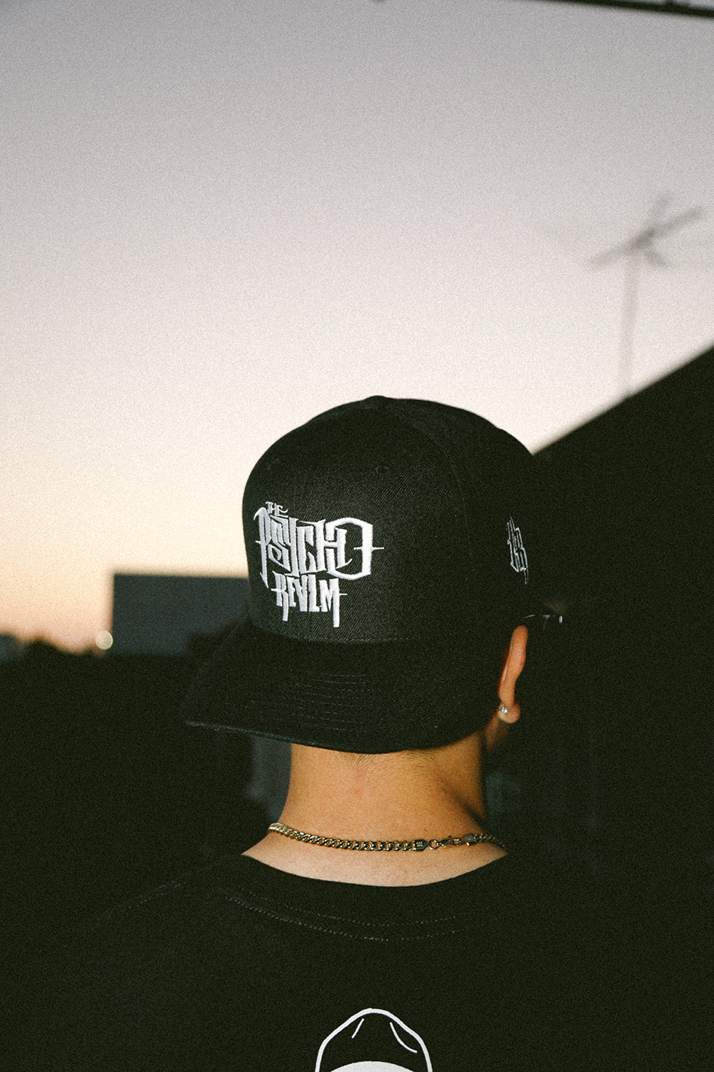 Psycho Realm - Classic (Black) Snapback Hat – The Psycho Shop / Psycho ...